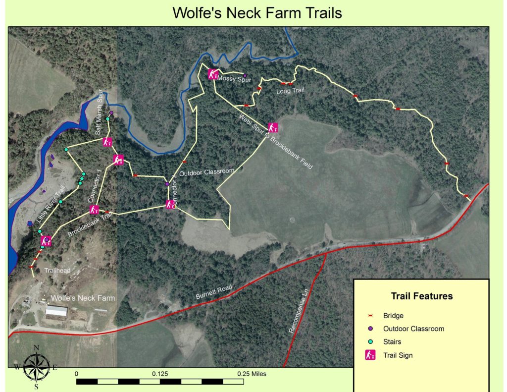 Wolfes-neck-farm-trail-map - Wolfe's Neck Oceanfront Camping