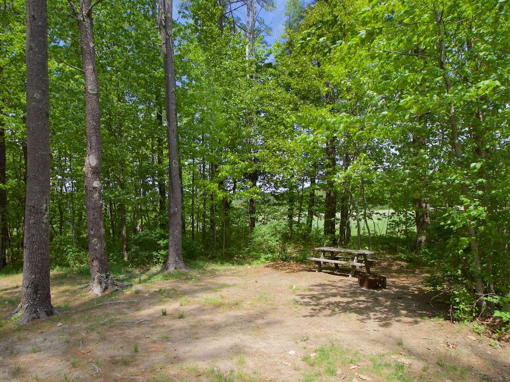 Interactive Campground Map - Middle Bay - Wolfe's Neck Oceanfront Camping