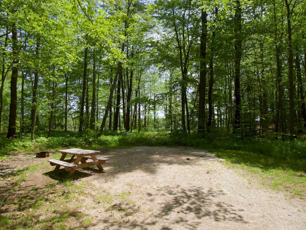 Interactive Campground Map - Middle Bay - Wolfe's Neck Oceanfront Camping