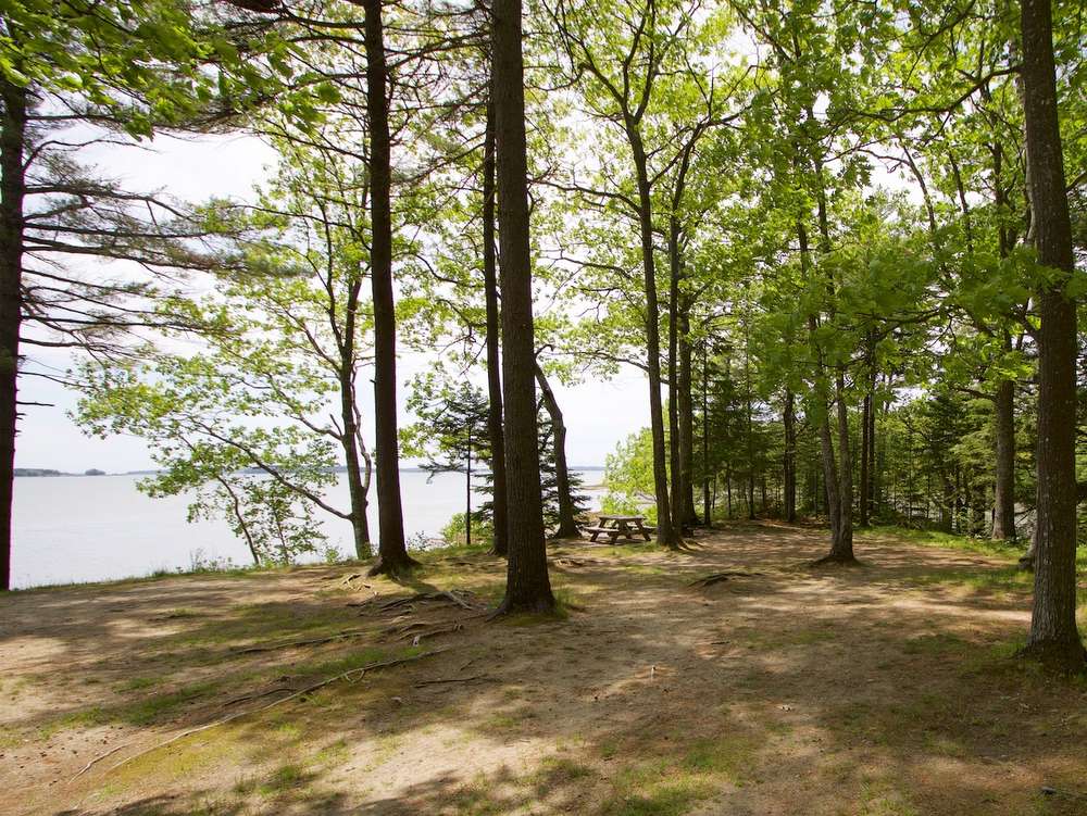 Interactive Campground Map - Middle Bay - Wolfe's Neck Oceanfront Camping