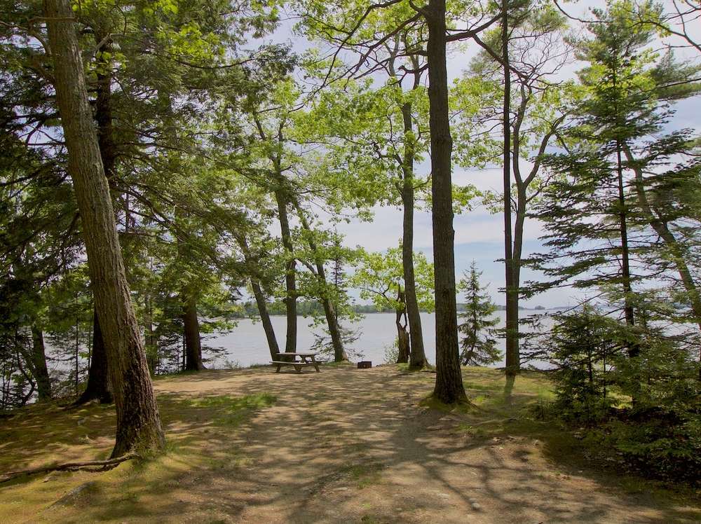 Interactive Campground Map - Middle Bay - Wolfe's Neck Oceanfront Camping