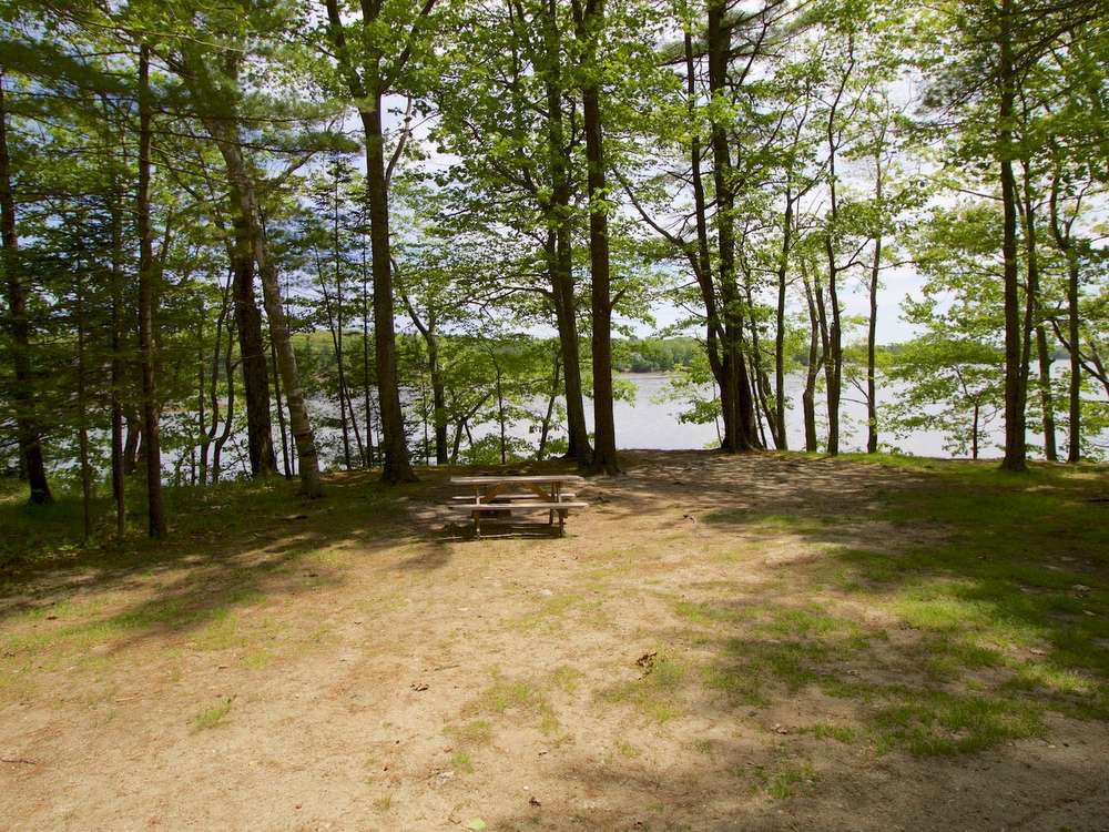 Interactive Campground Map - Middle Bay - Wolfe's Neck Oceanfront Camping