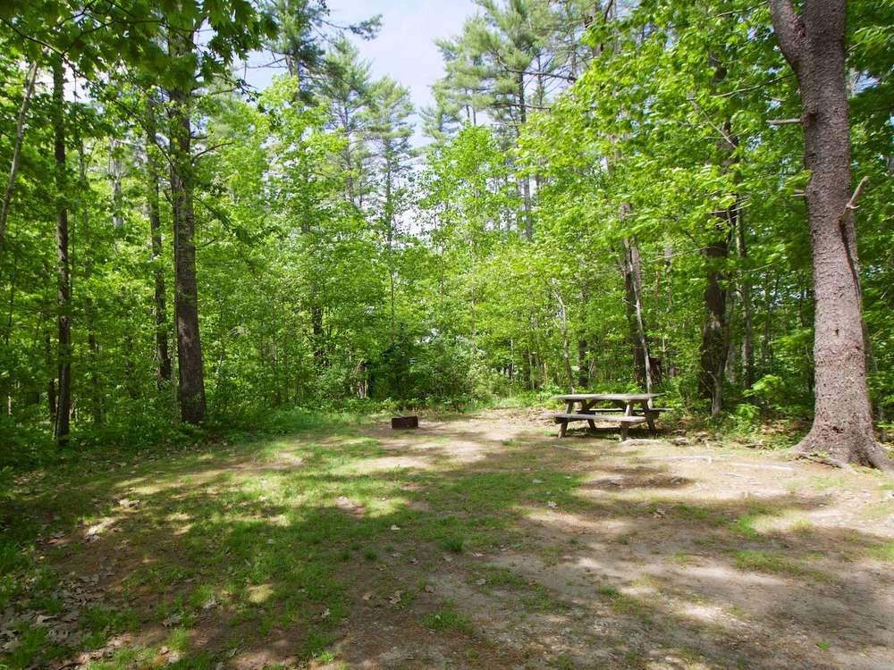 Interactive Campground Map - Middle Bay - Wolfe's Neck Oceanfront Camping