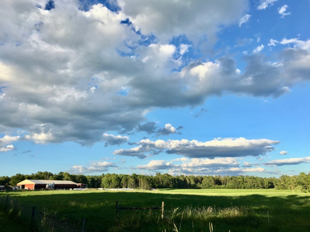 wolfes-neck-farm-maine - Wolfe's Neck Oceanfront Camping