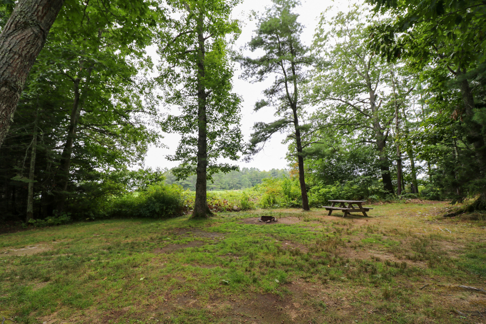 Interactive Campground Map - East Bay - Wolfe's Neck Oceanfront Camping